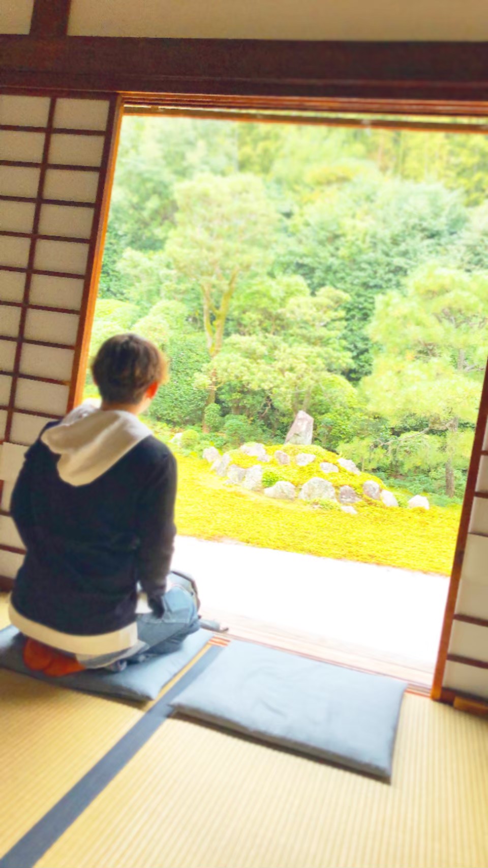 MUI X DatePicker v7の日本語化 - かいぶろぐ（かいぶろ）